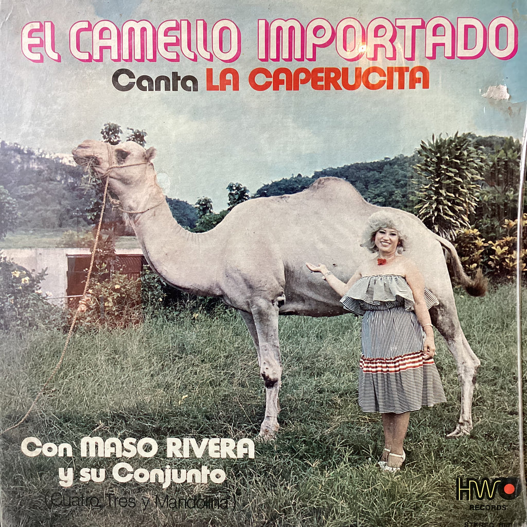 Maso Rivera y su Conjunto / La Caperucita - El Camello Importado – el ...